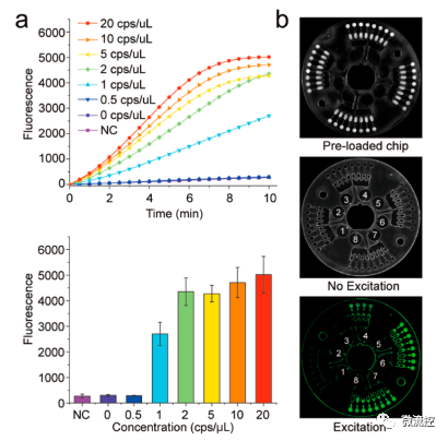 自动化离心微流控平台+RT-RAA检测方法，实现新冠病毒超敏即时检测 - 杭州霆科生物科技有限公司
