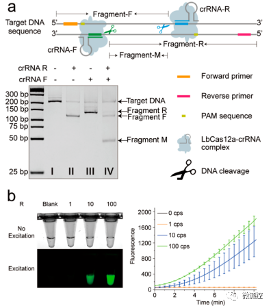 自动化离心微流控平台+RT-RAA检测方法，实现新冠病毒超敏即时检测 - 杭州霆科生物科技有限公司