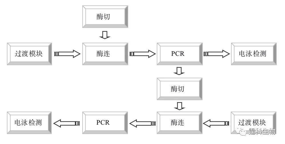 图解微流控｜第32期 - 杭州霆科生物科技有限公司