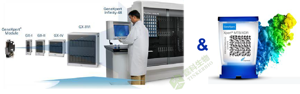 产品解析 | 第3期：GeneXpert微流控核酸检测卡盒 - 杭州霆科生物科技有限公司