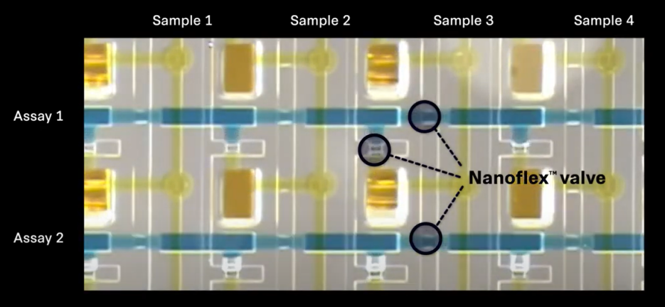 产品解析|第32期： HUMIMIC——芯片上的“人体” - 杭州霆科生物科技有限公司